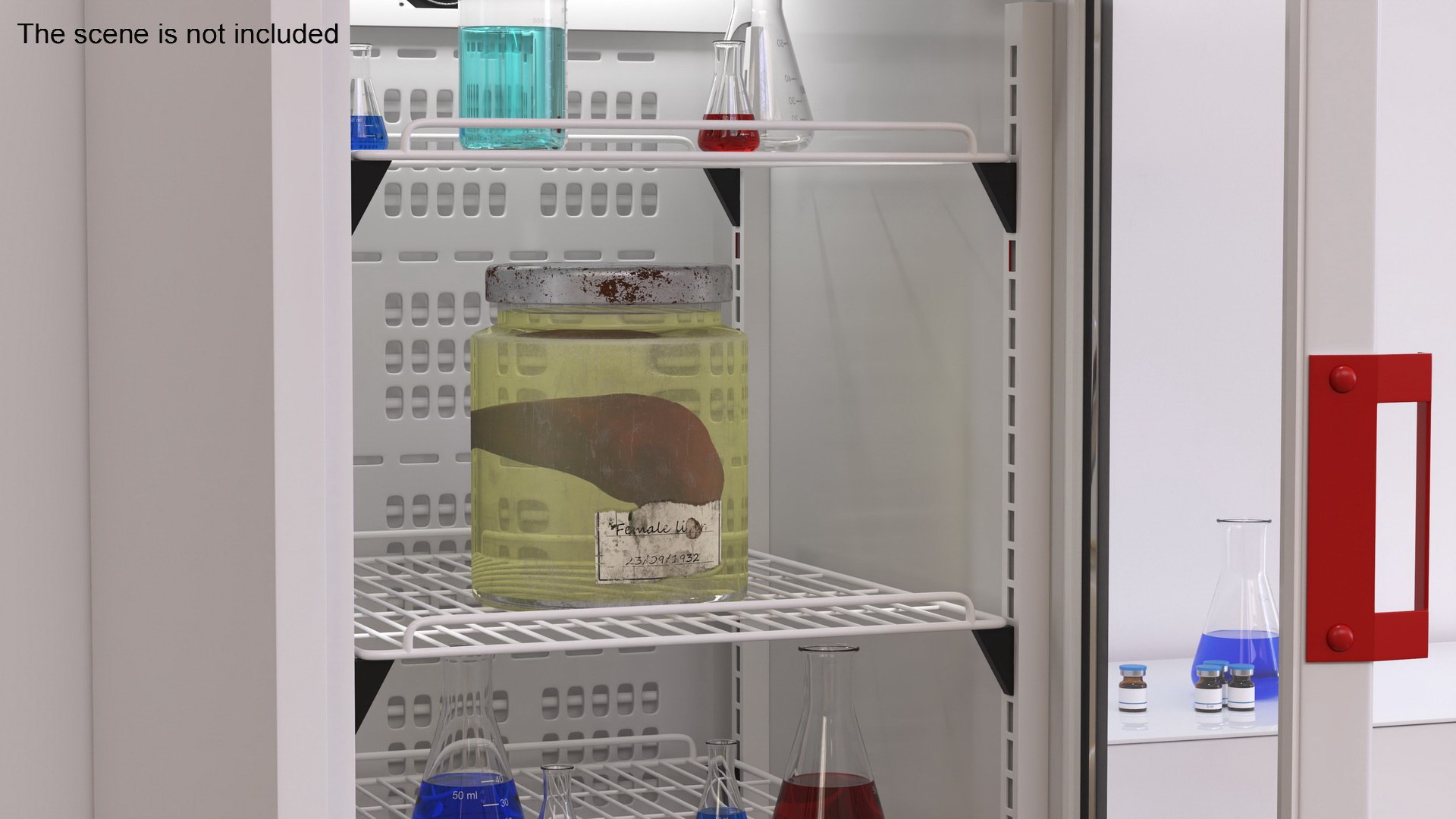 3D Human Liver Organ In A Old Jar Model - TurboSquid 2259006