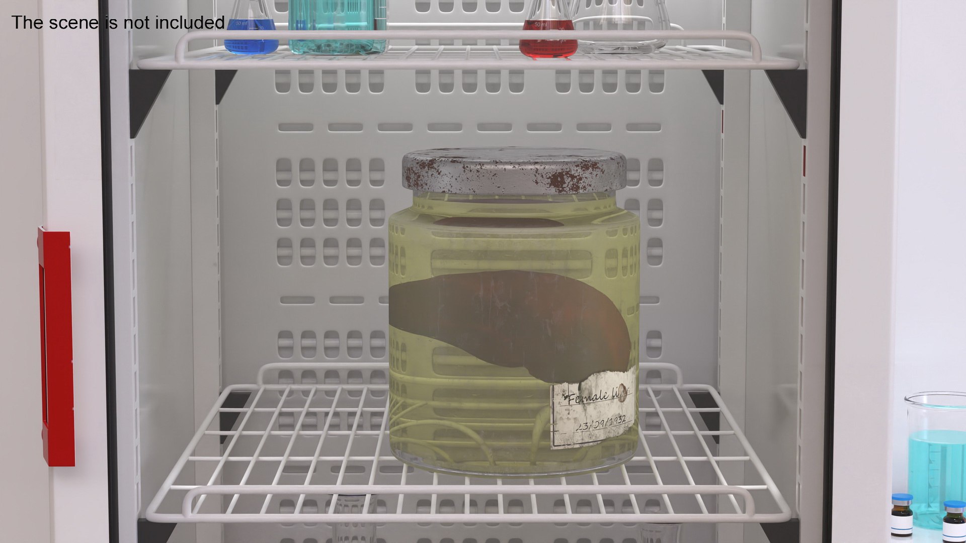 3D Human Liver Organ In A Old Jar Model - TurboSquid 2259006
