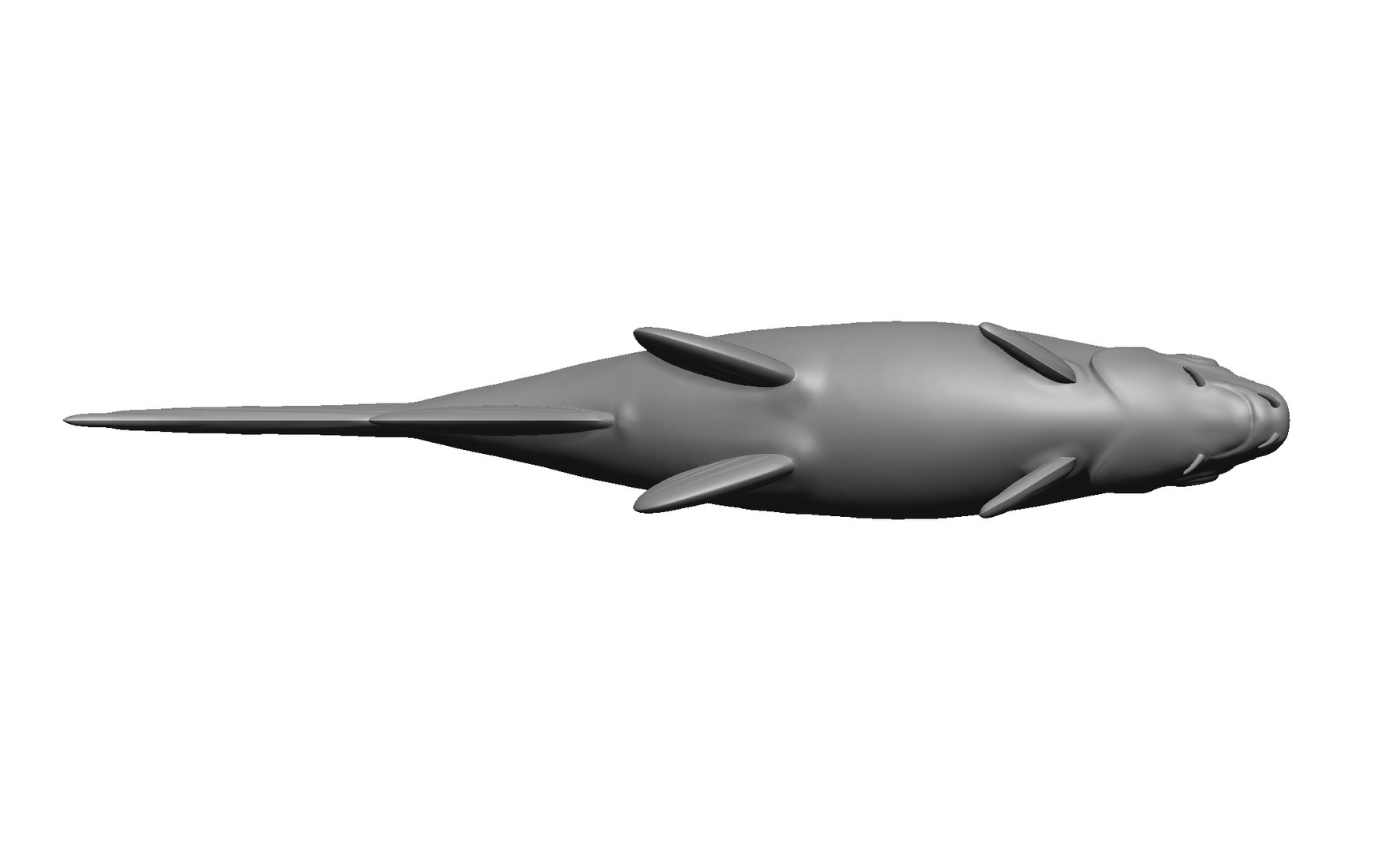 3D Model Red Tail Shark - TurboSquid 2045466