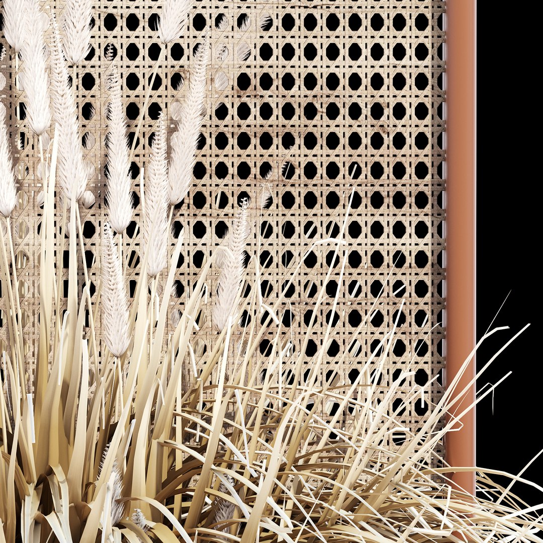 Paradiso Model - TurboSquid 1899317