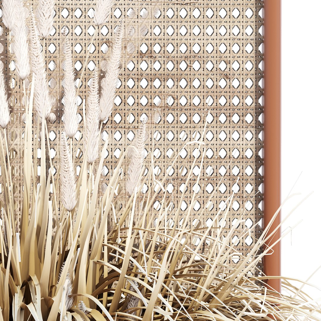 Paradiso Model - TurboSquid 1899317