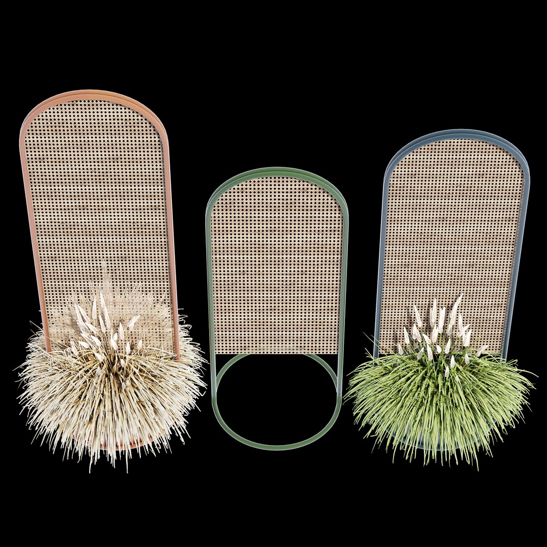 Paradiso Model - TurboSquid 1899317