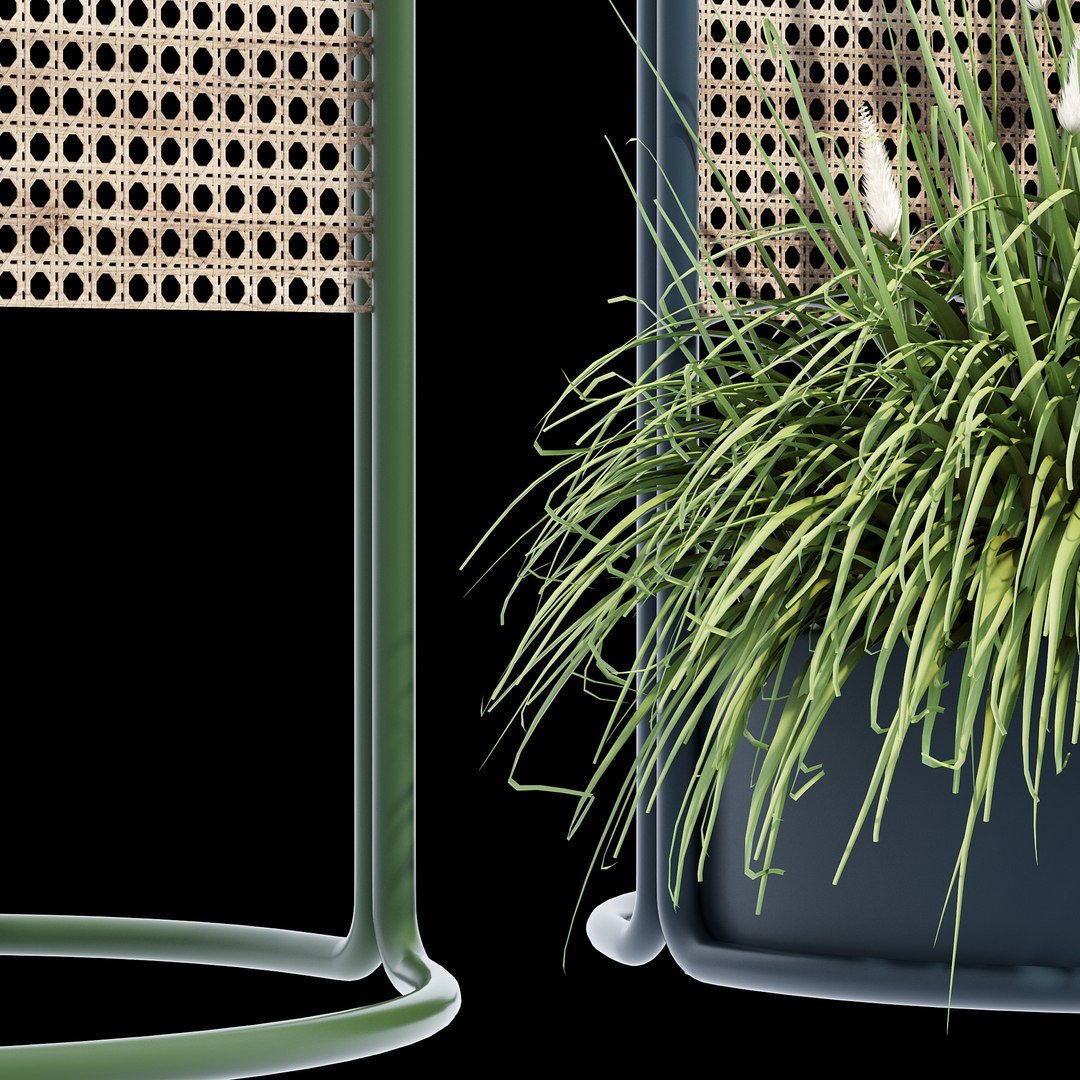 Paradiso Model - TurboSquid 1899317