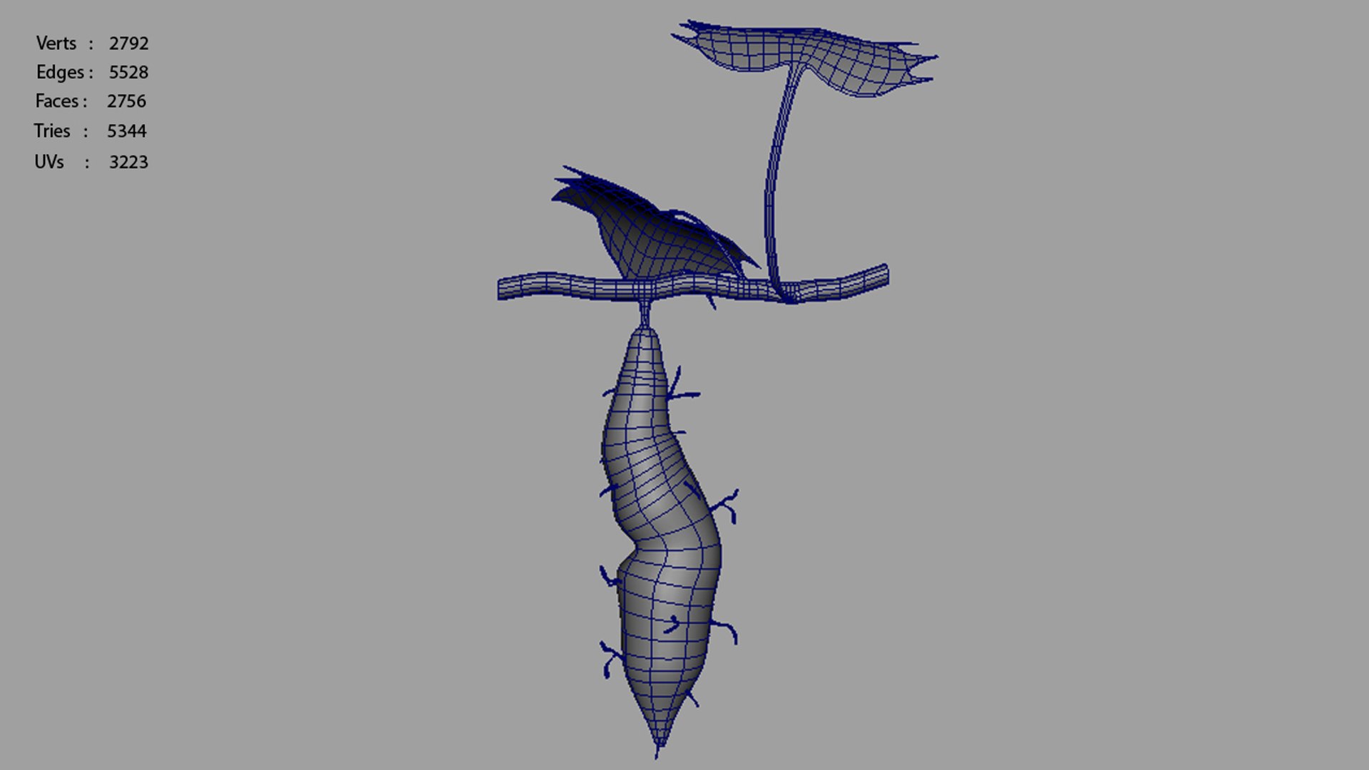 Sweet Ipomoea 3d Model