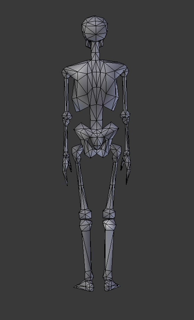 Free Skeleton - 3d Model