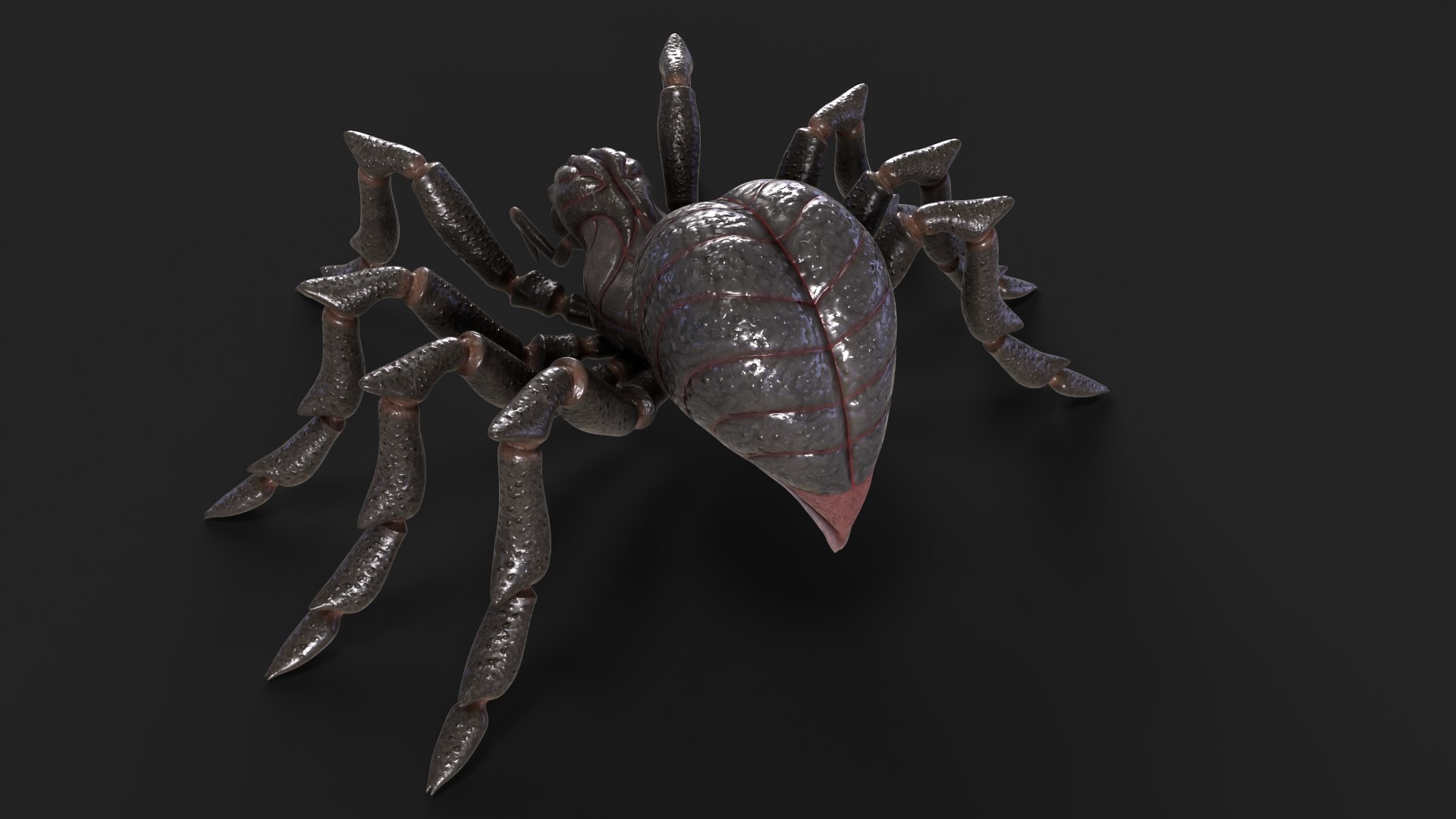 3D Spider Rigged And Animated Model - TurboSquid 2238021