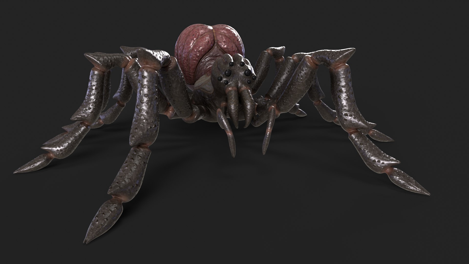 3D Spider Rigged And Animated Model - TurboSquid 2238021