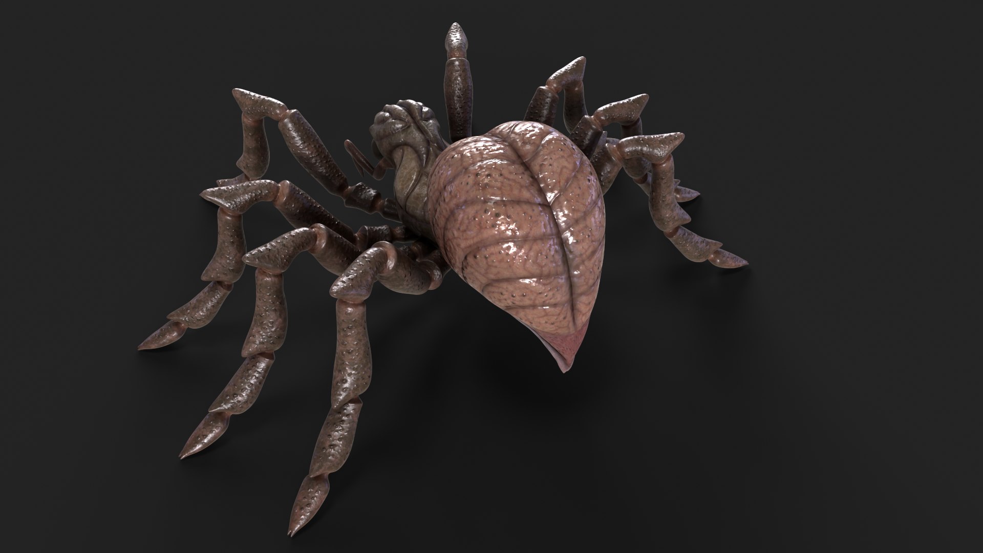 3D Spider Rigged And Animated Model - TurboSquid 2238021