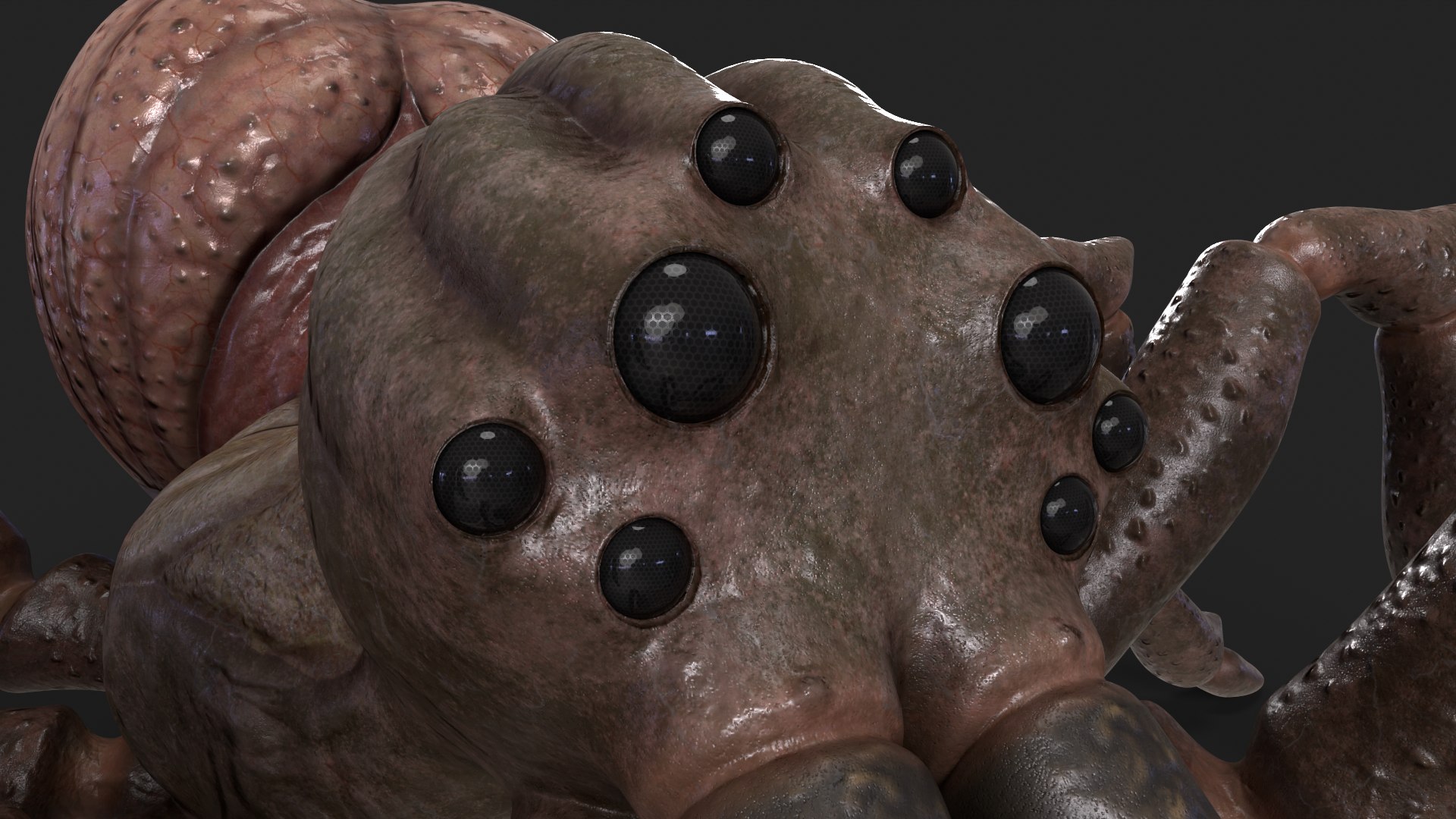 3D Spider Rigged And Animated Model - TurboSquid 2238021