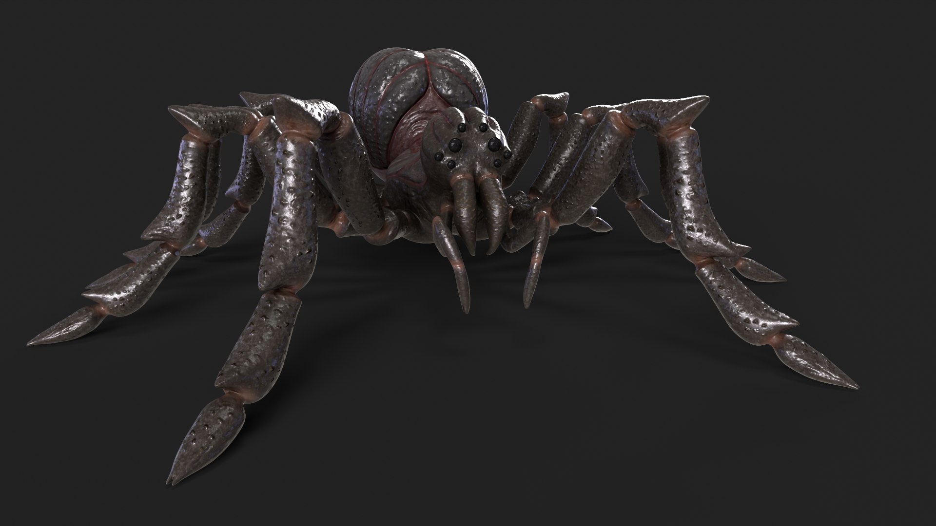 3D Spider Rigged And Animated Model - TurboSquid 2238021