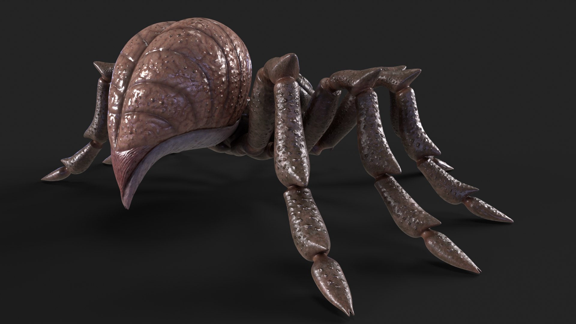 3D Spider Rigged And Animated Model - TurboSquid 2238021