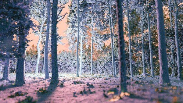 Park Blender Models for Download | TurboSquid