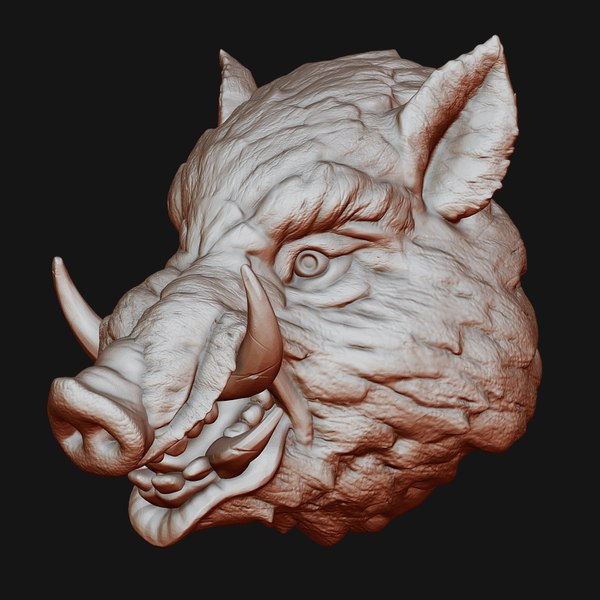 wild boar 3d model