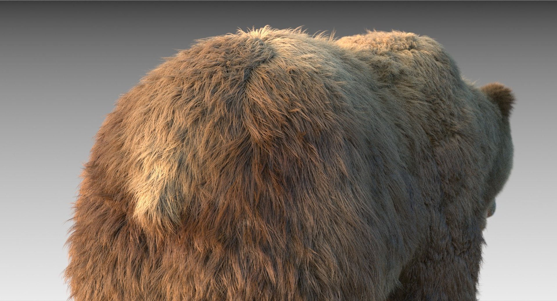 3D Grizzly Bear Fur Model - TurboSquid 1251206
