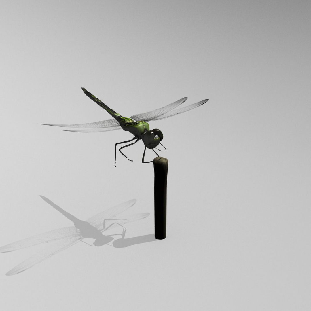maya dragonfly animation
