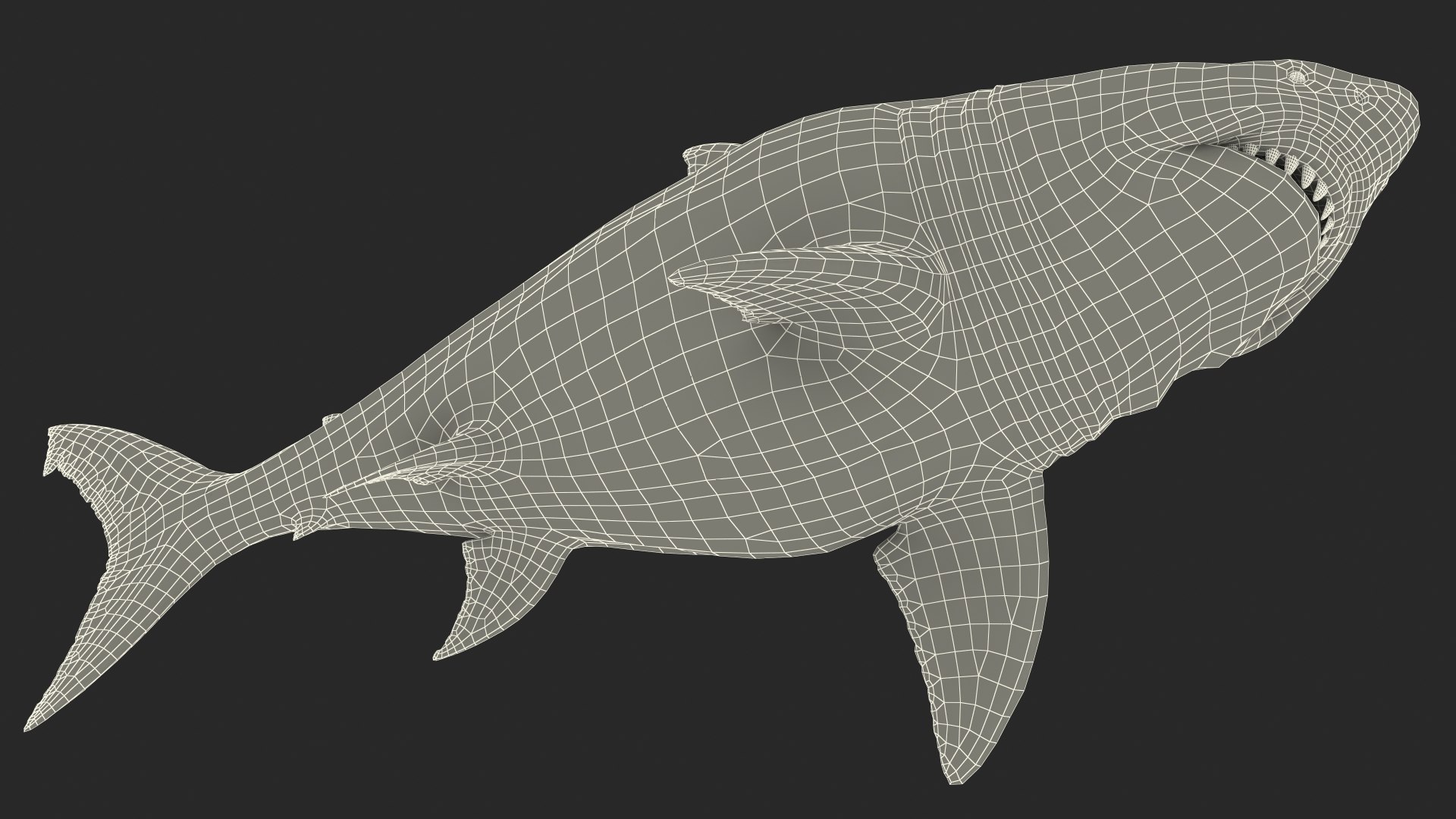 3D Megalodon - TurboSquid 1749621