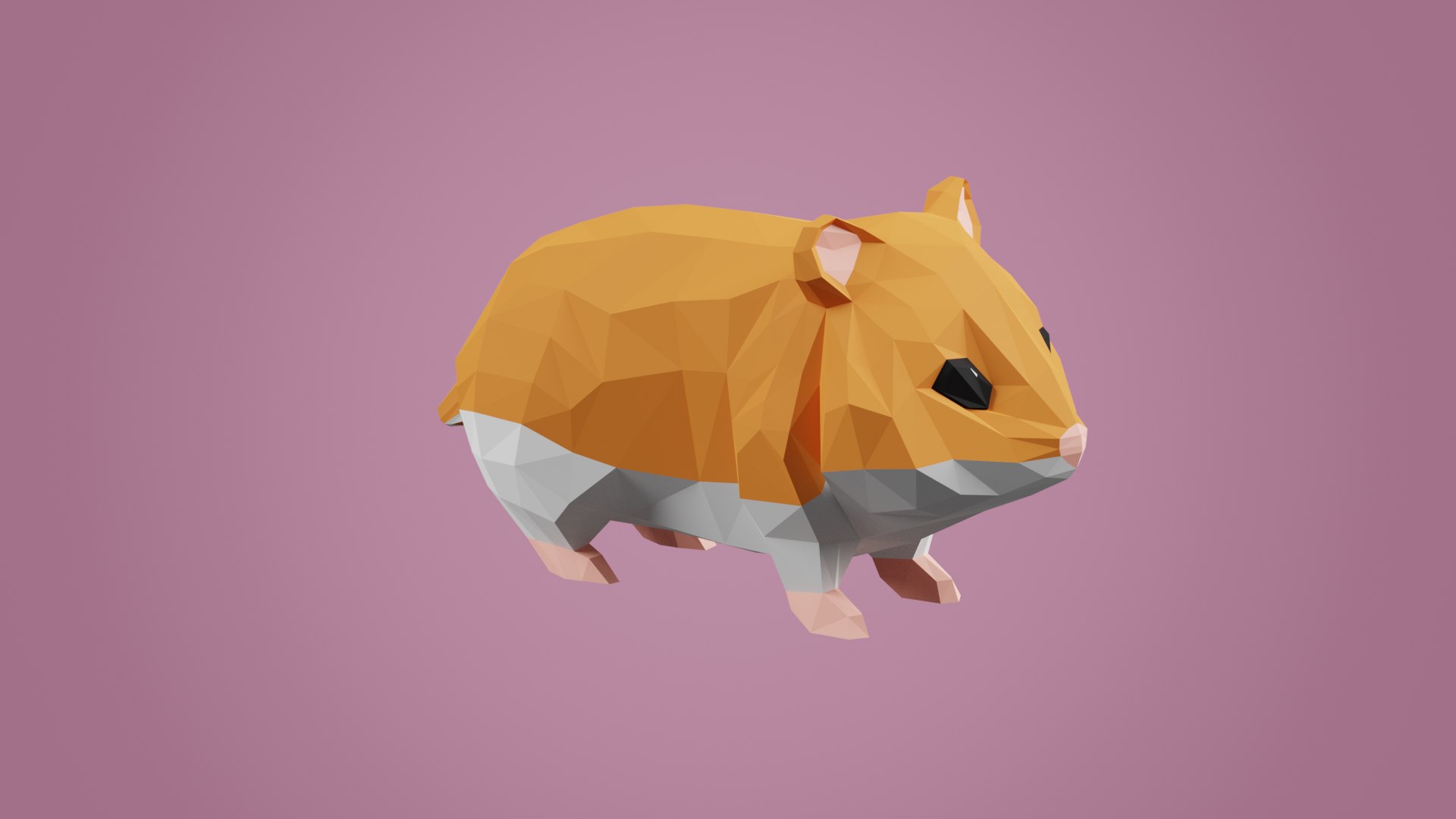 3D Lowpoly Stylized Hamster - TurboSquid 2191765