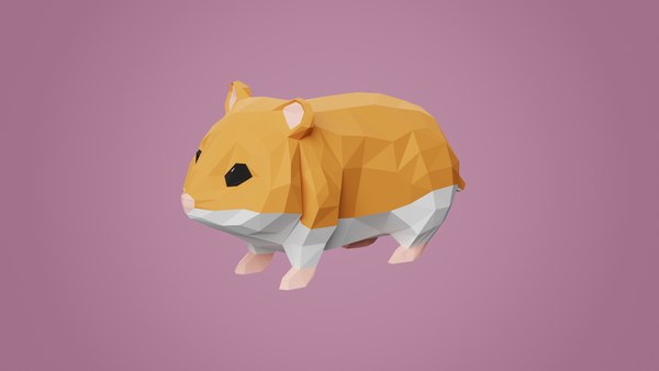 Hamster 3D Models for Download | TurboSquid