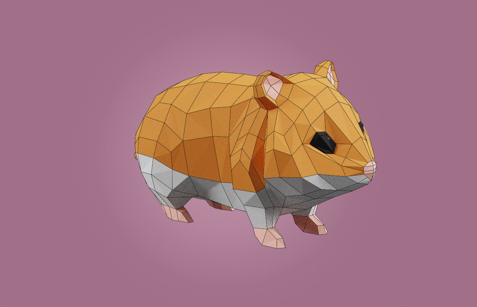 3D Lowpoly Stylized Hamster - TurboSquid 2191765
