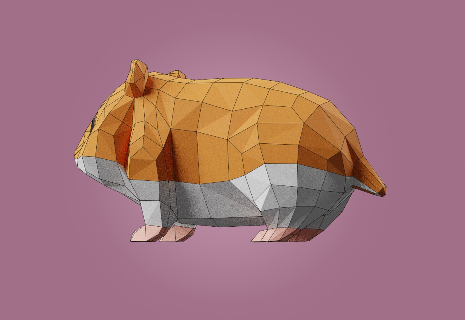 3D Lowpoly Stylized Hamster - TurboSquid 2191765
