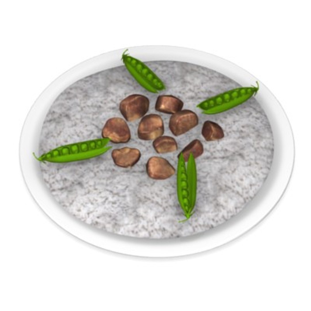 3d rice food model