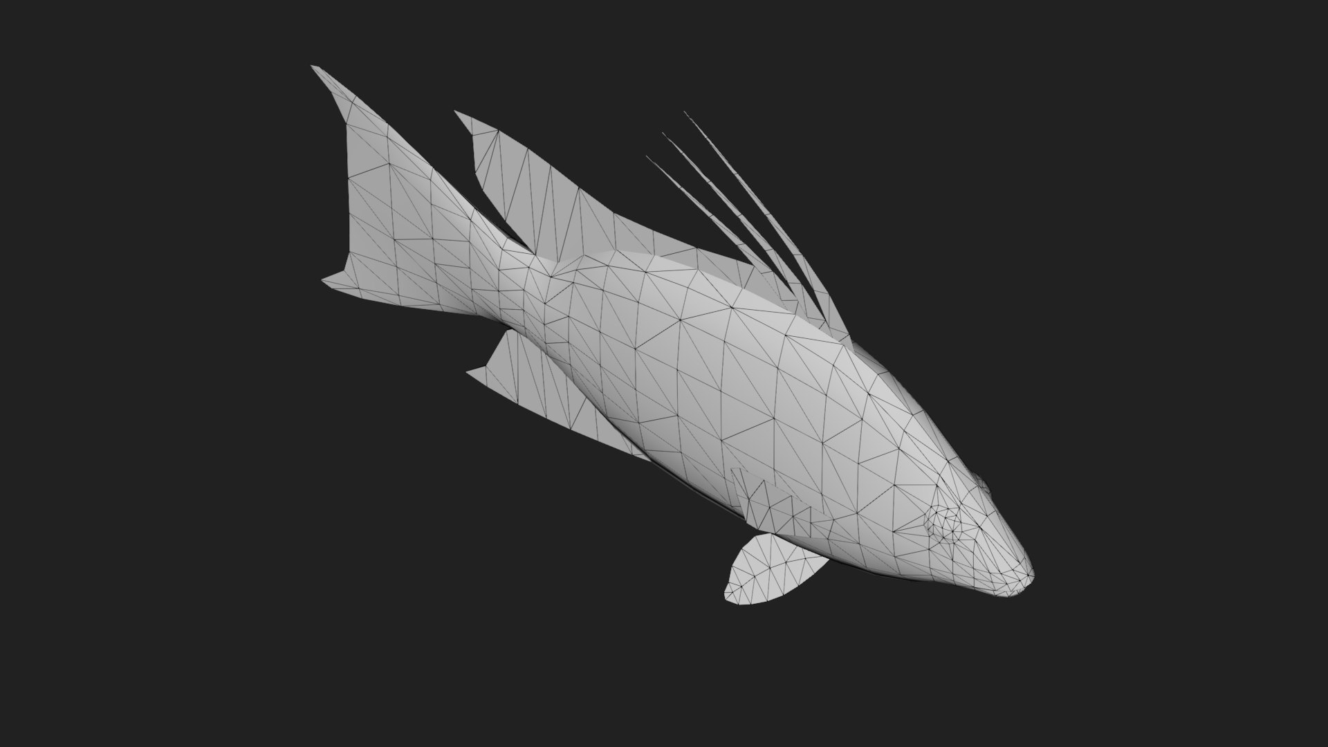 3D Model Hogfish - TurboSquid 2119457
