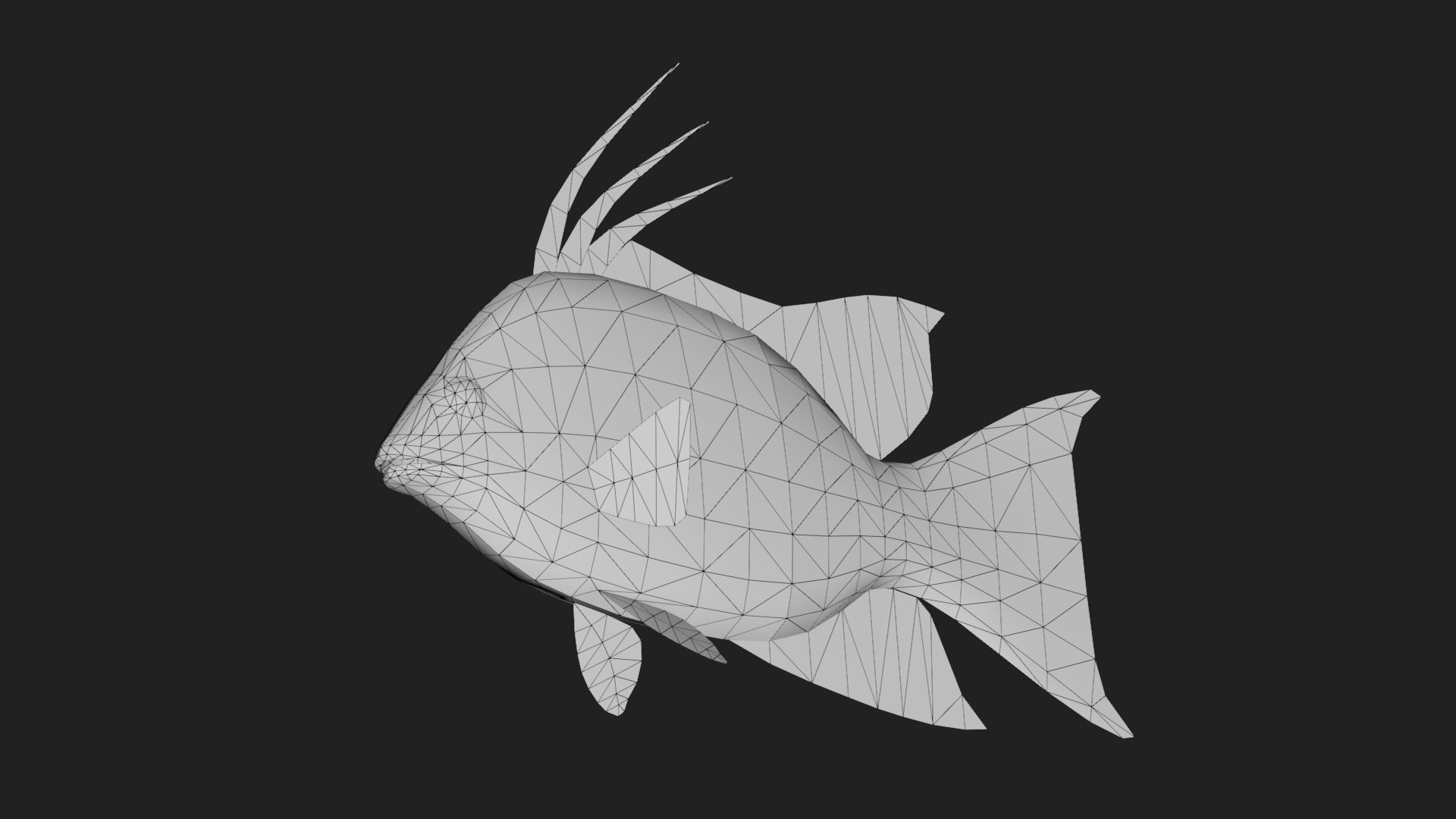 3D Model Hogfish - TurboSquid 2119457