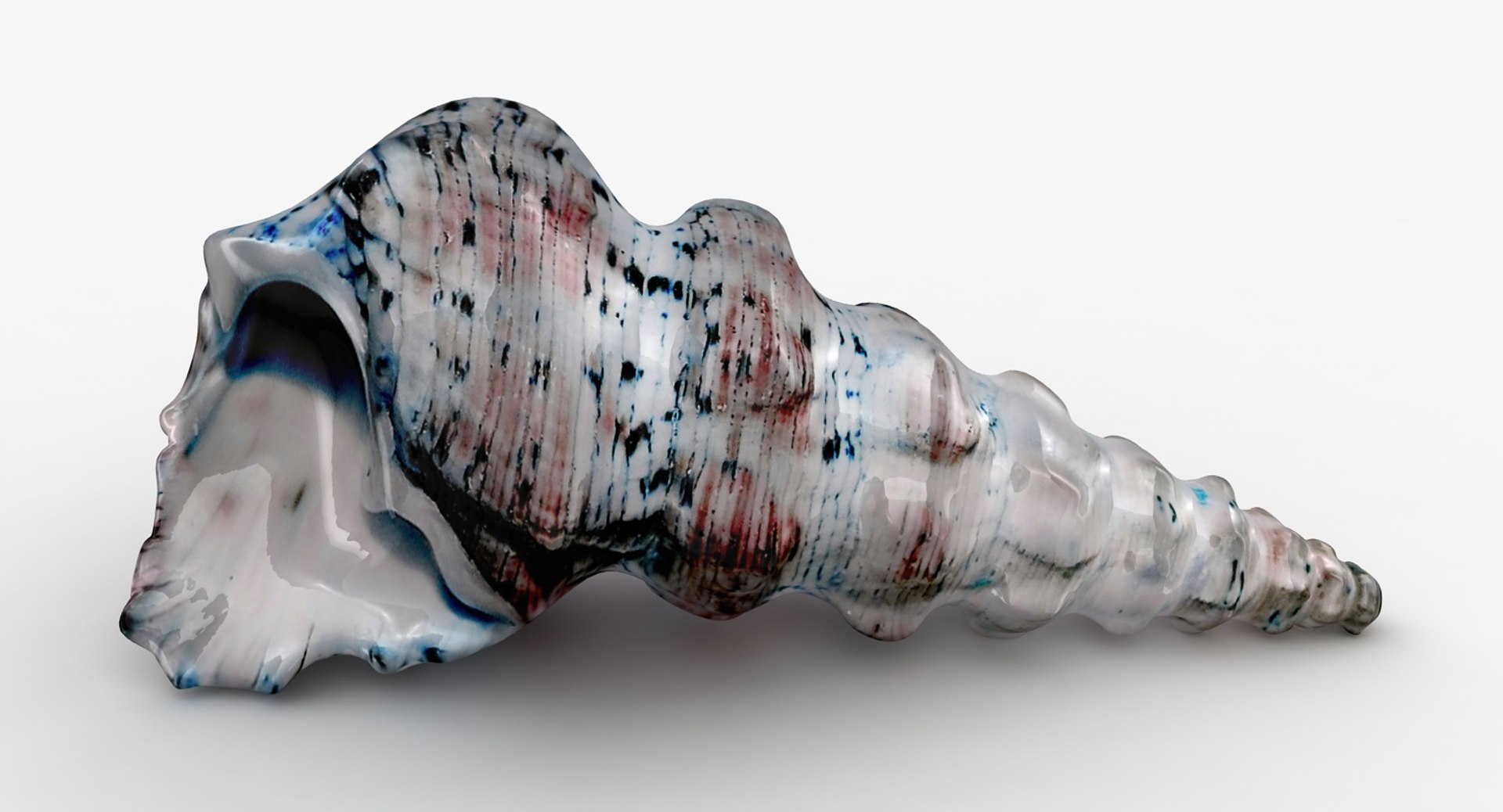 Realistic Sea Shell Set 3D Model - TurboSquid 1150999