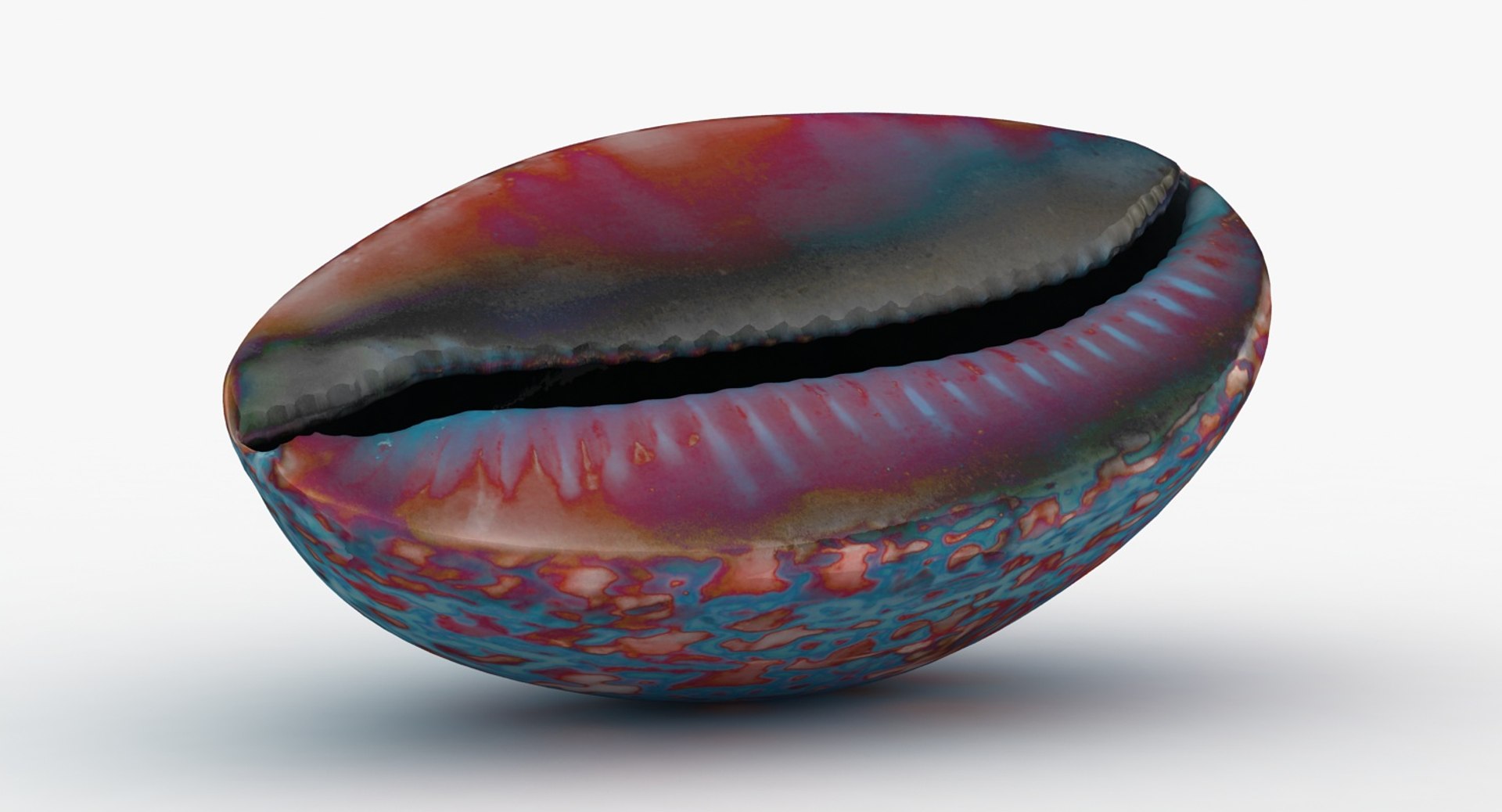 Realistic sea shell set 3D model - TurboSquid 1150999