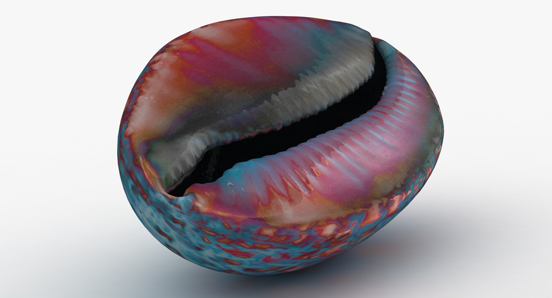 Realistic sea shell set 3D model - TurboSquid 1150999