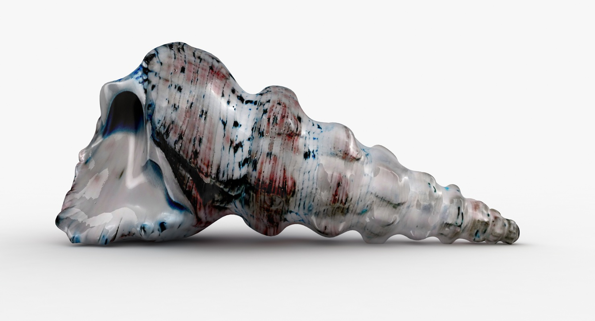 Realistic Sea Shell Set 3D Model - TurboSquid 1150999