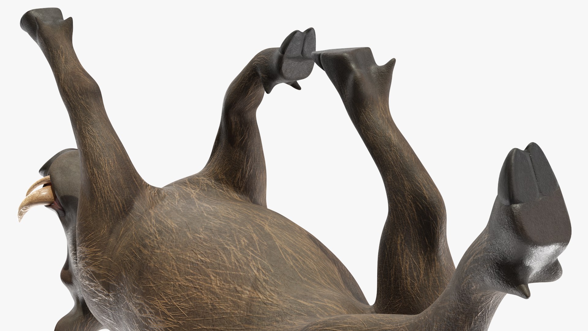 Phacochoerus Africanus Walking Pose Model - TurboSquid 2220684