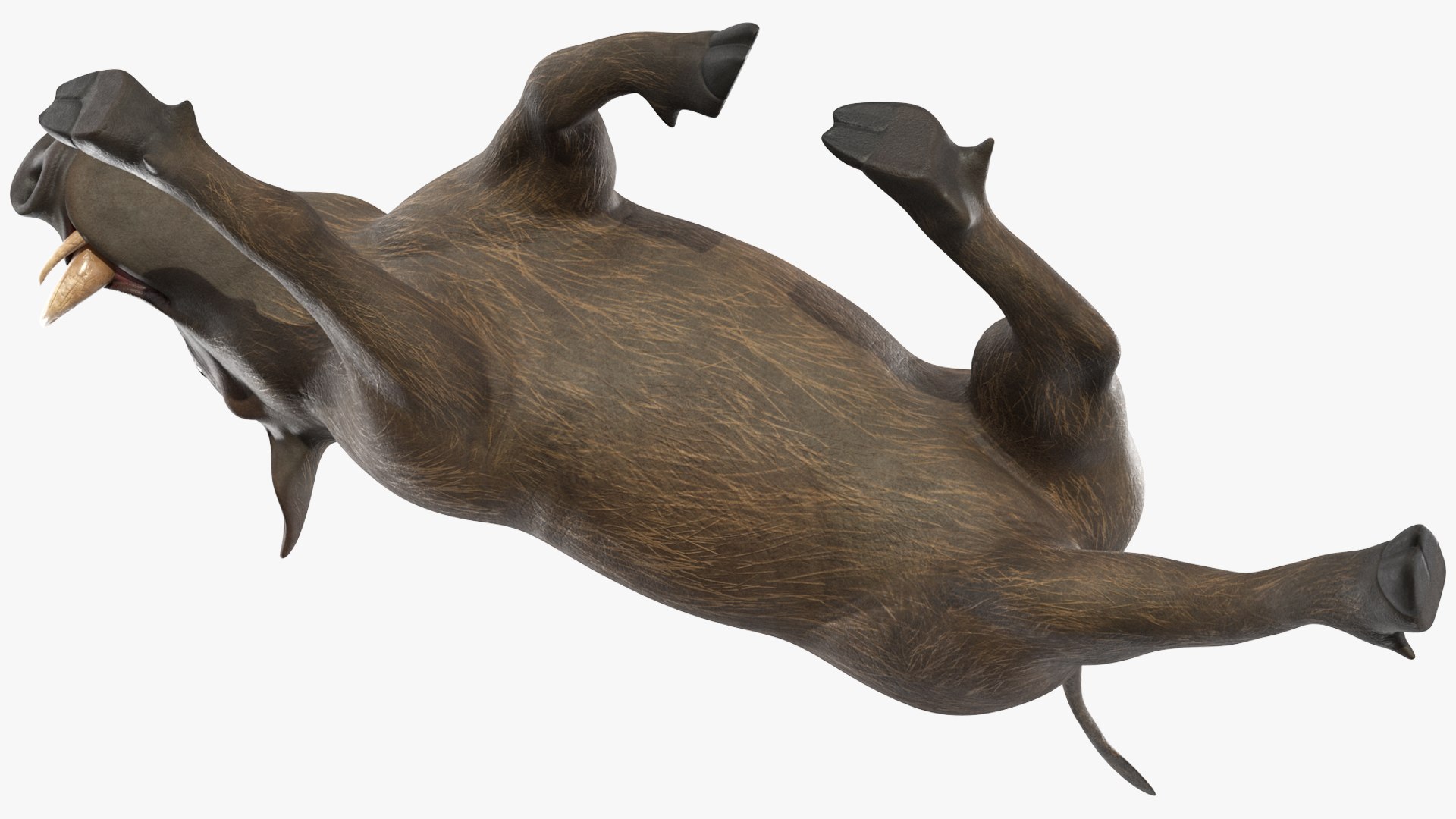 Phacochoerus Africanus Walking Pose Model - TurboSquid 2220684