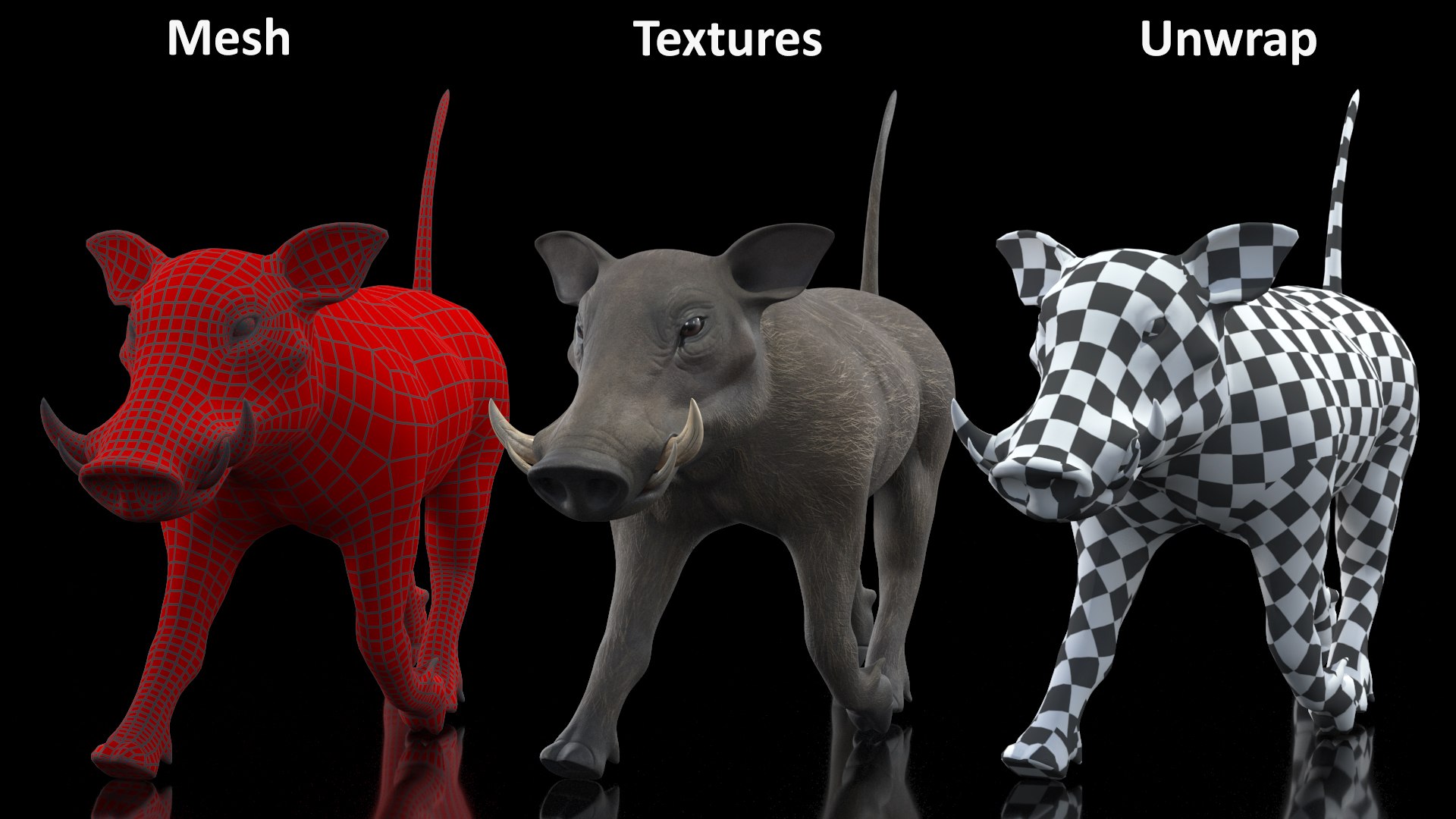 Phacochoerus Africanus Walking Pose Model - TurboSquid 2220684