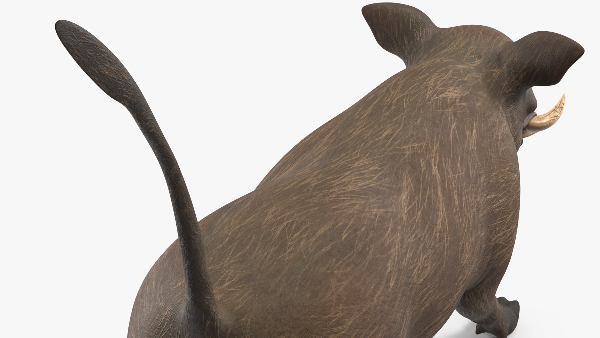 Phacochoerus Africanus Walking Pose Model - TurboSquid 2220684