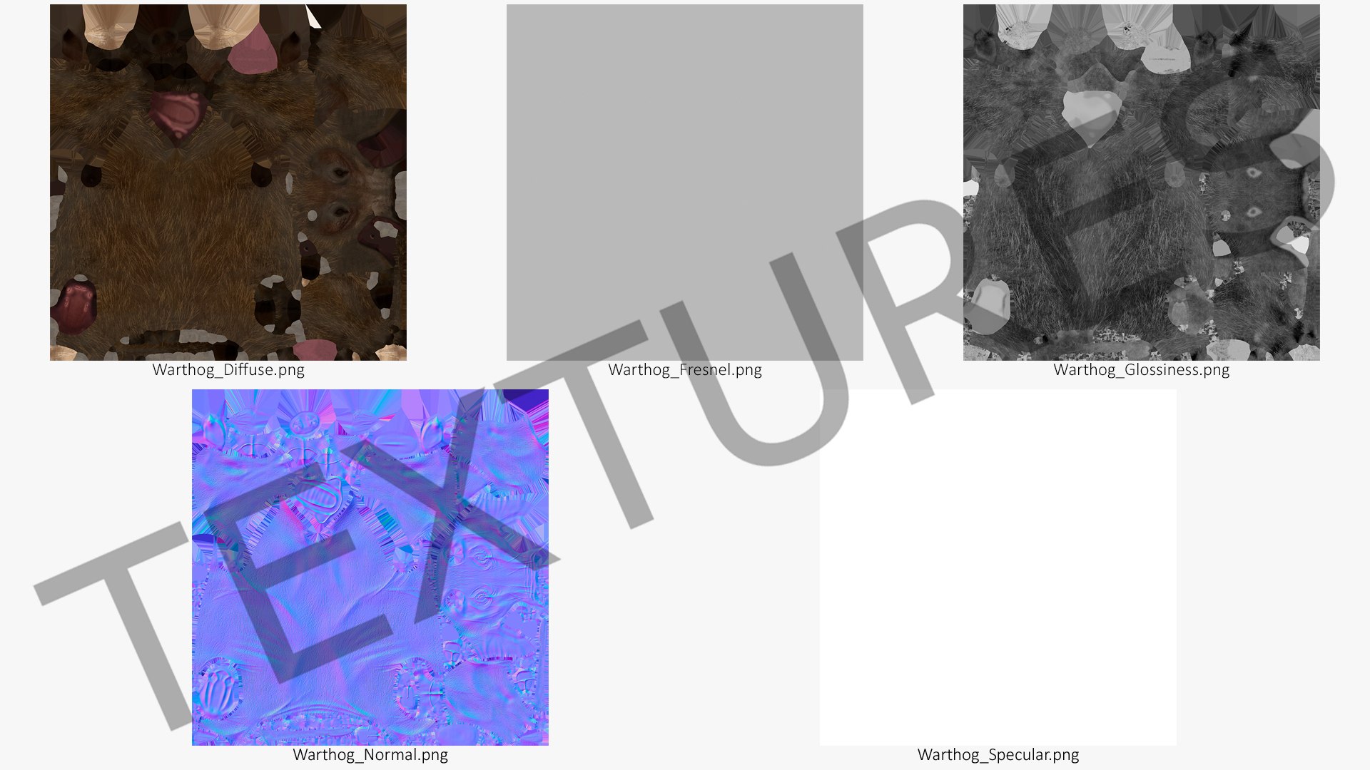 Phacochoerus Africanus Walking Pose Model - TurboSquid 2220684