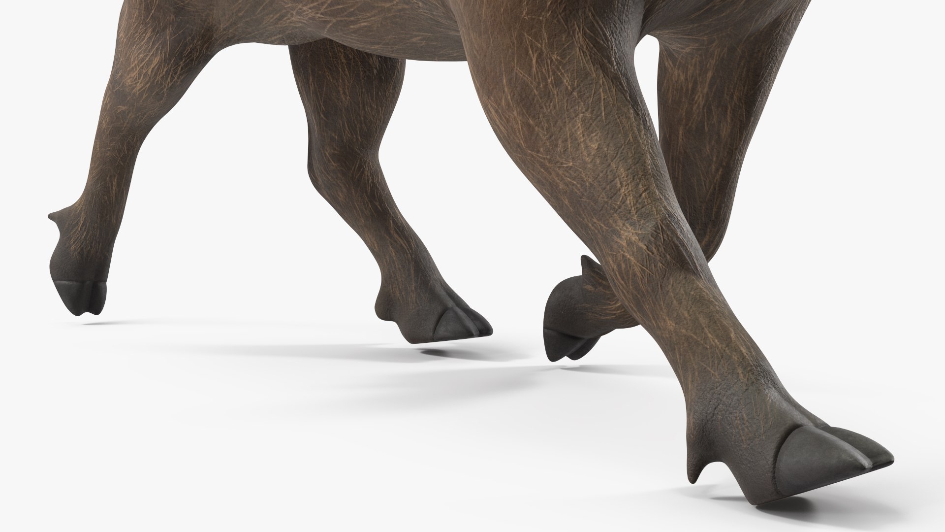 Phacochoerus Africanus Walking Pose Model - TurboSquid 2220684