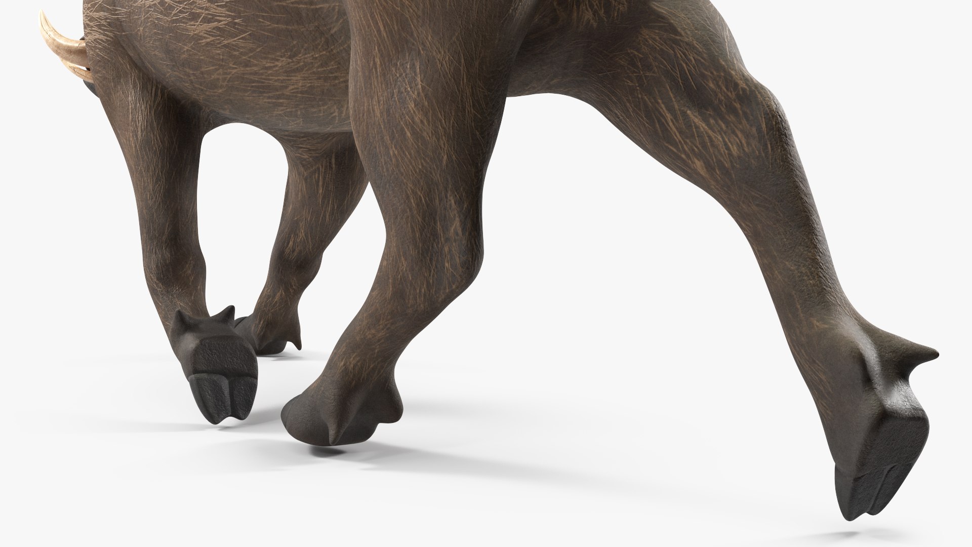 Phacochoerus Africanus Walking Pose Model - TurboSquid 2220684