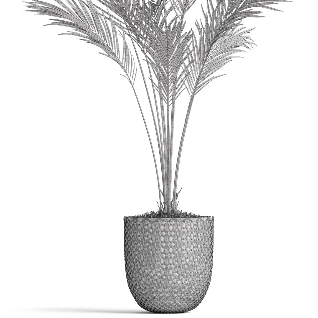 3D Model Plants Collection 774 - TurboSquid 1963214