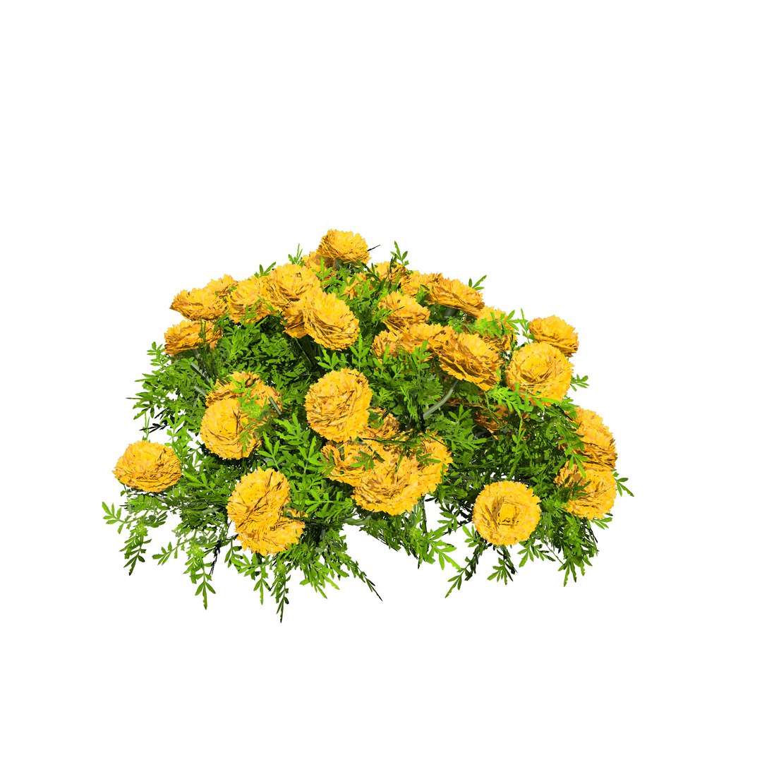 Low-Poly Marigold Deep Orange Mary Helen Model - TurboSquid 2193480
