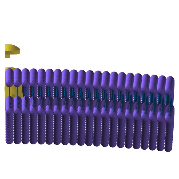 cell membrane 3d model