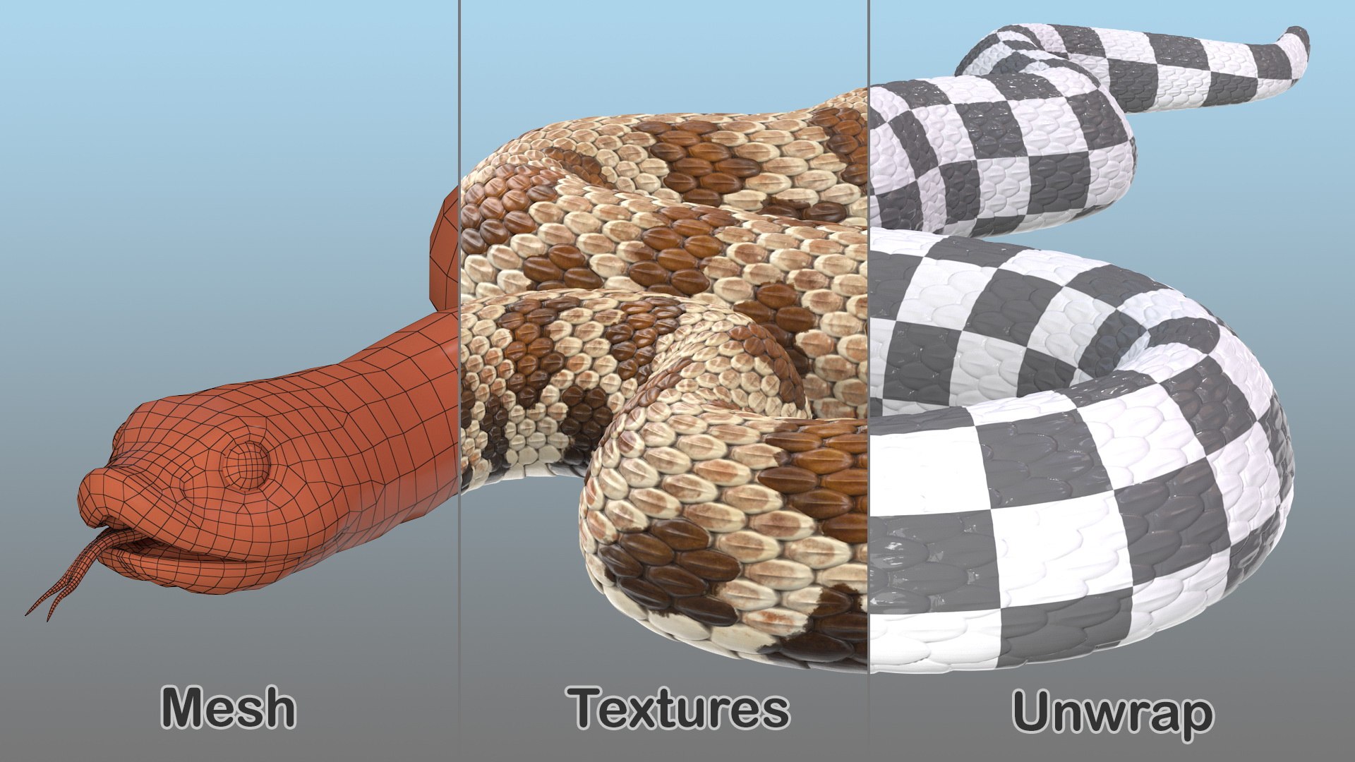 3D brown hognose snake coiled model - TurboSquid 1475427