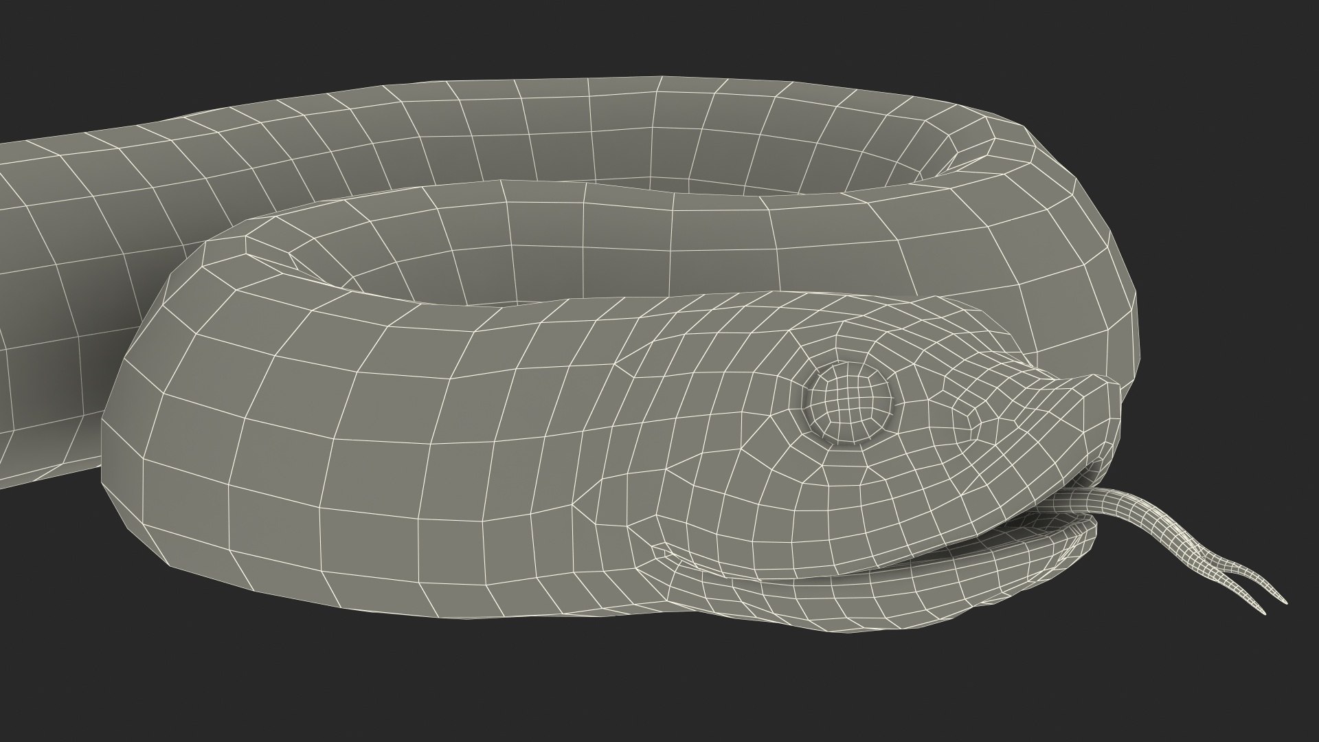 3D brown hognose snake coiled model - TurboSquid 1475427
