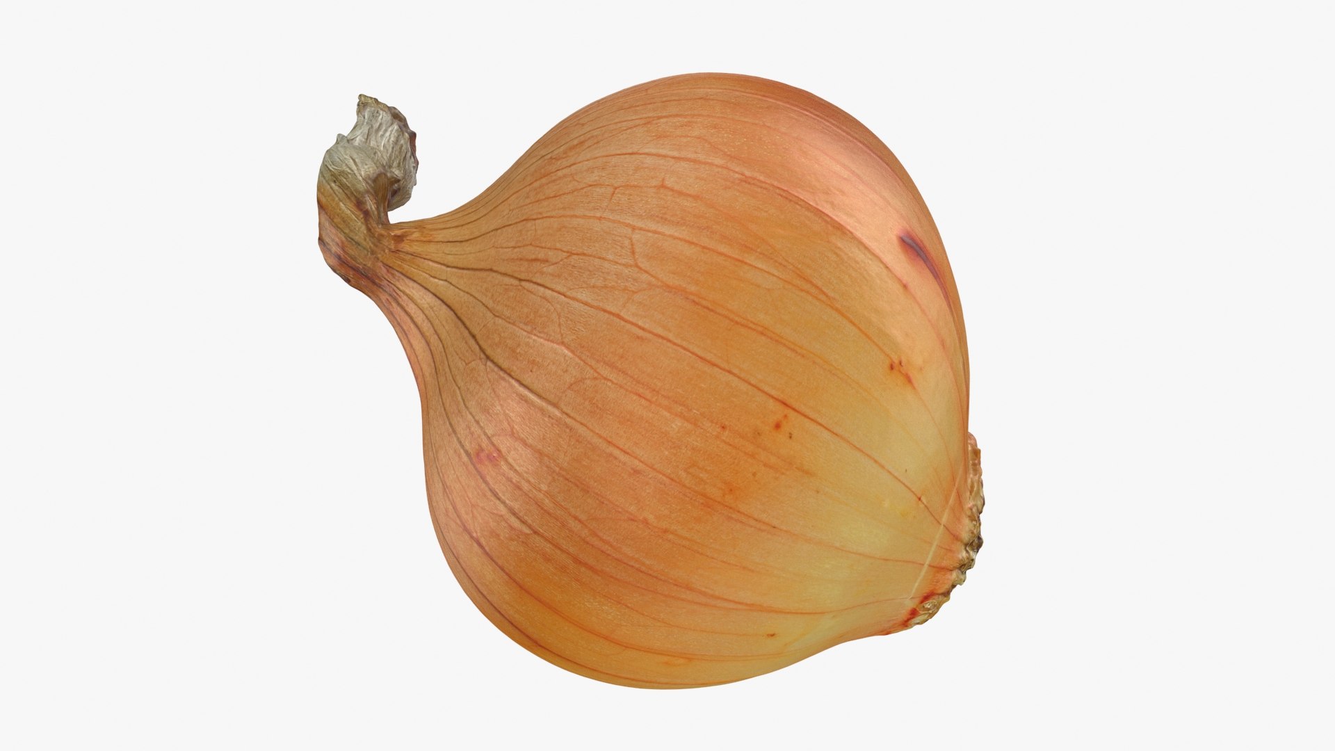 3D Yellow Onion 03 - TurboSquid 2246066