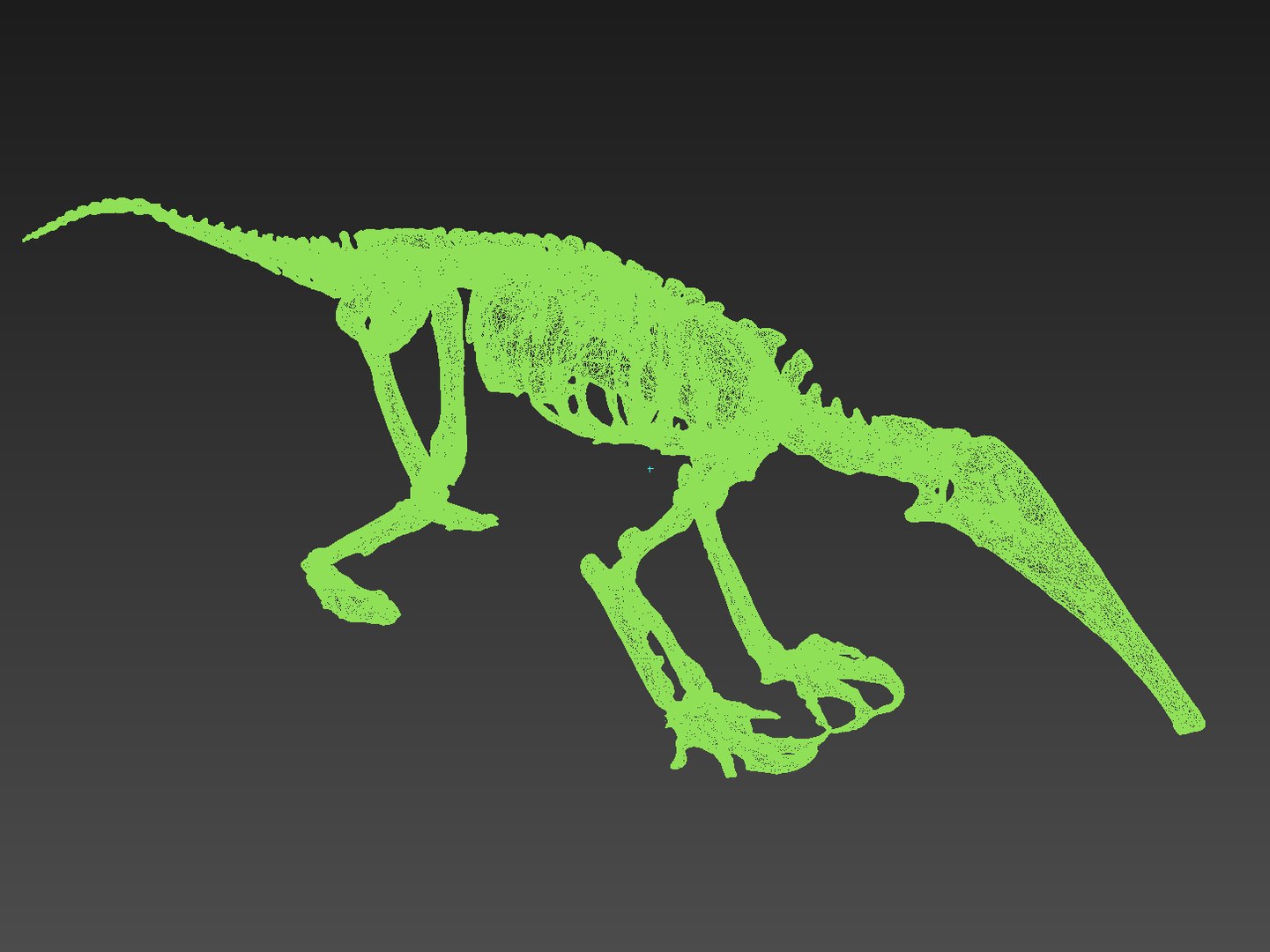 3D Model Ant-eater Skeleton - TurboSquid 1571170