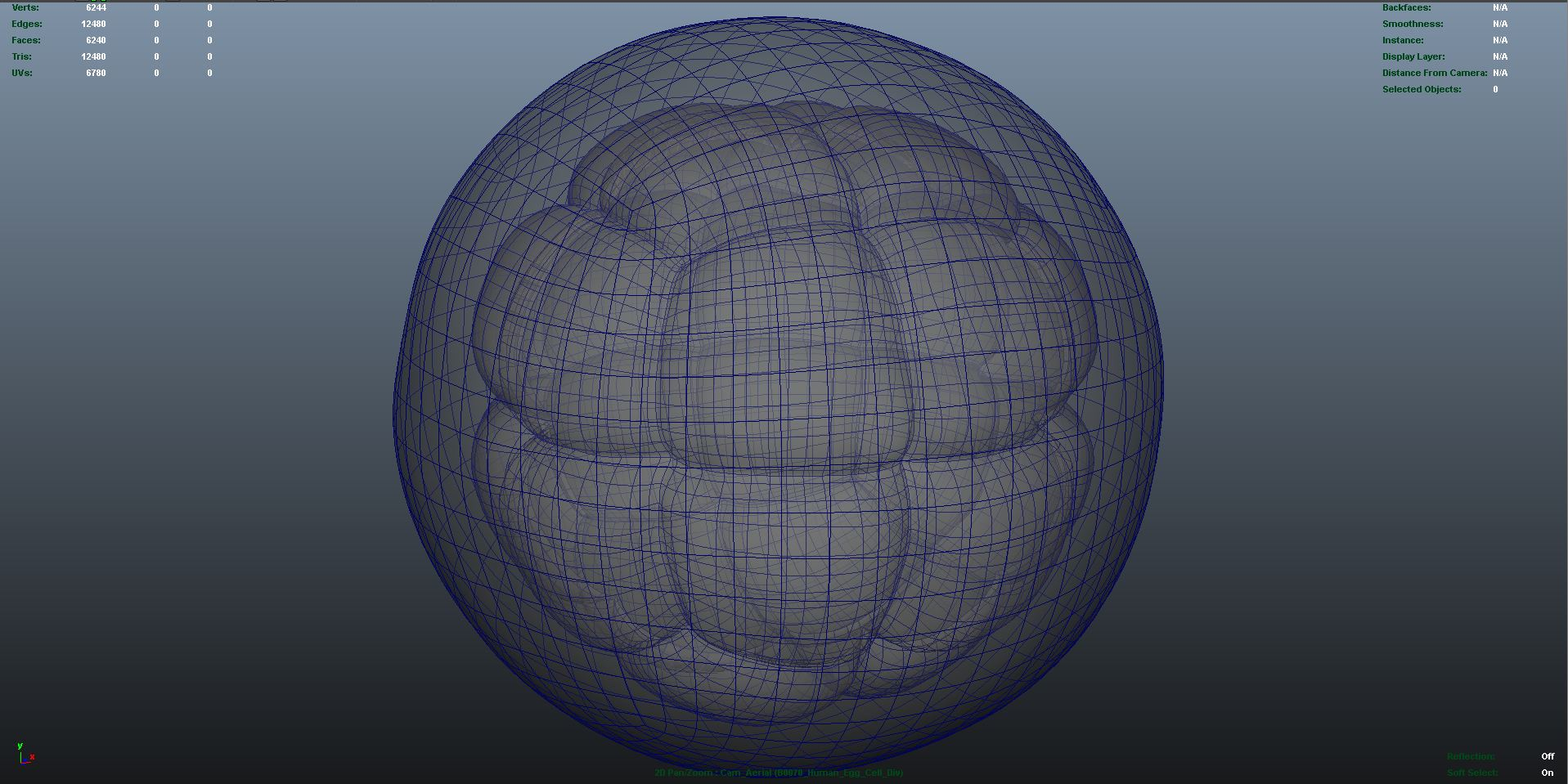 3d model cell division
