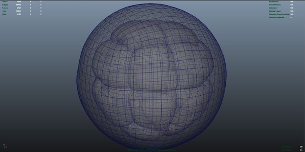 3d model cell division