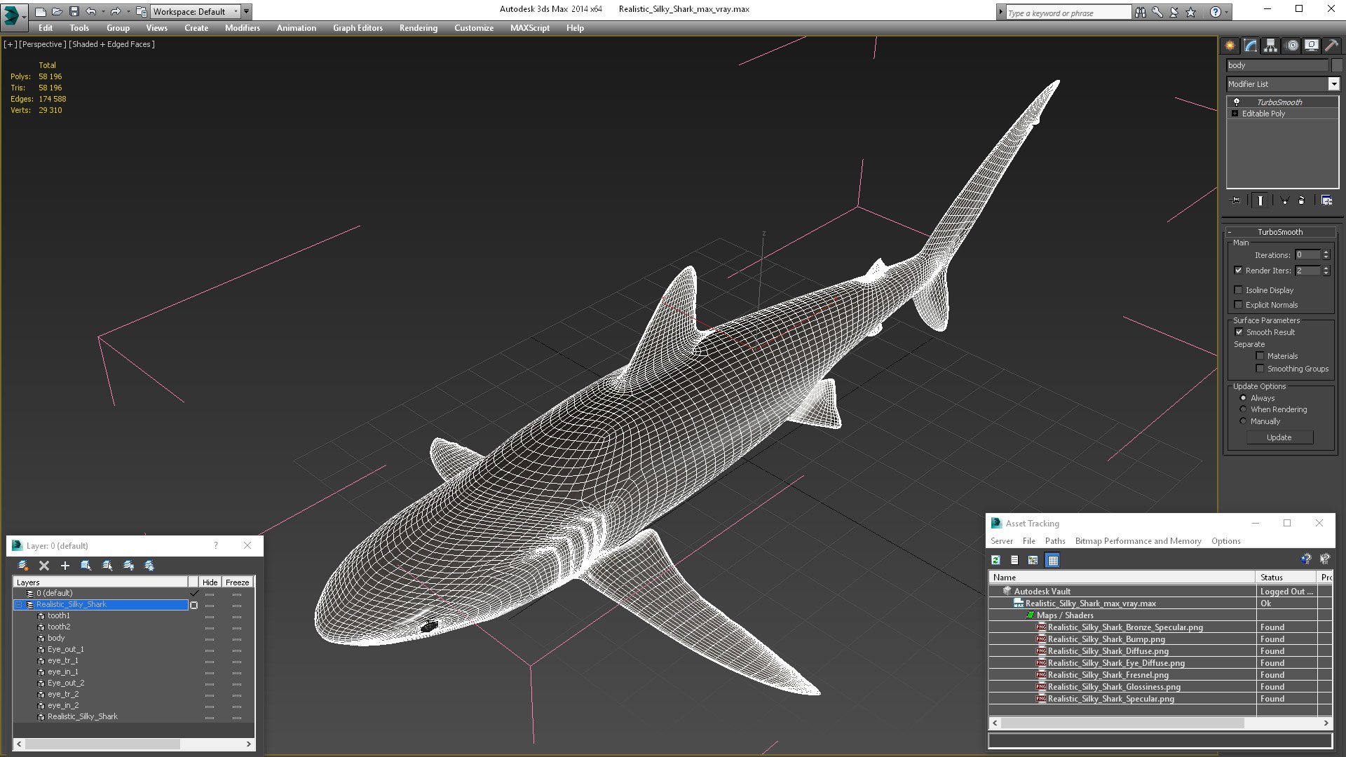 Realistic Silky Shark 3D Model - TurboSquid 2261408