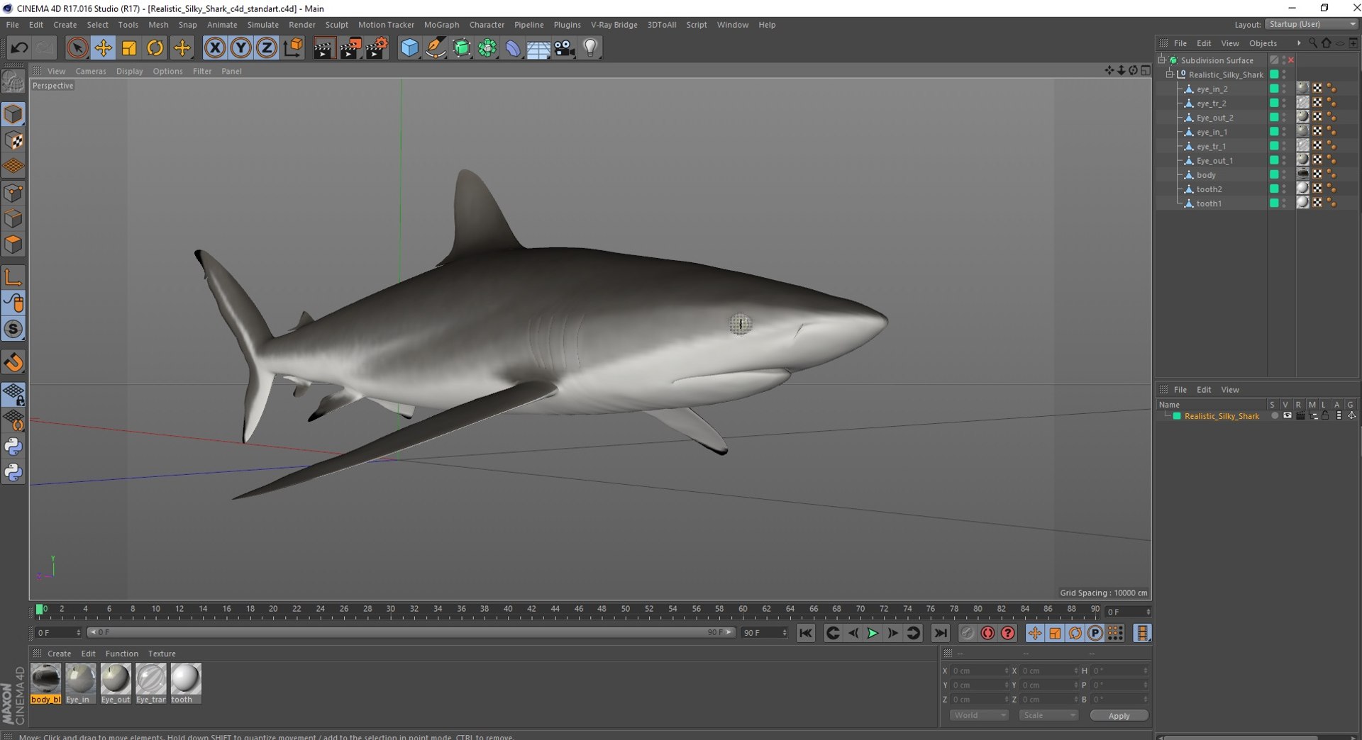 Realistic Silky Shark 3D Model - TurboSquid 2261408