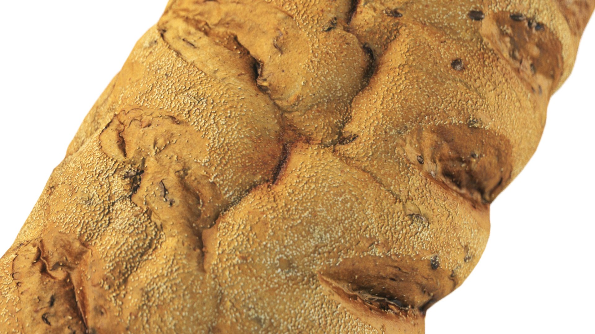 3D Whole Grain Bread With Seeds Model - TurboSquid 1967206